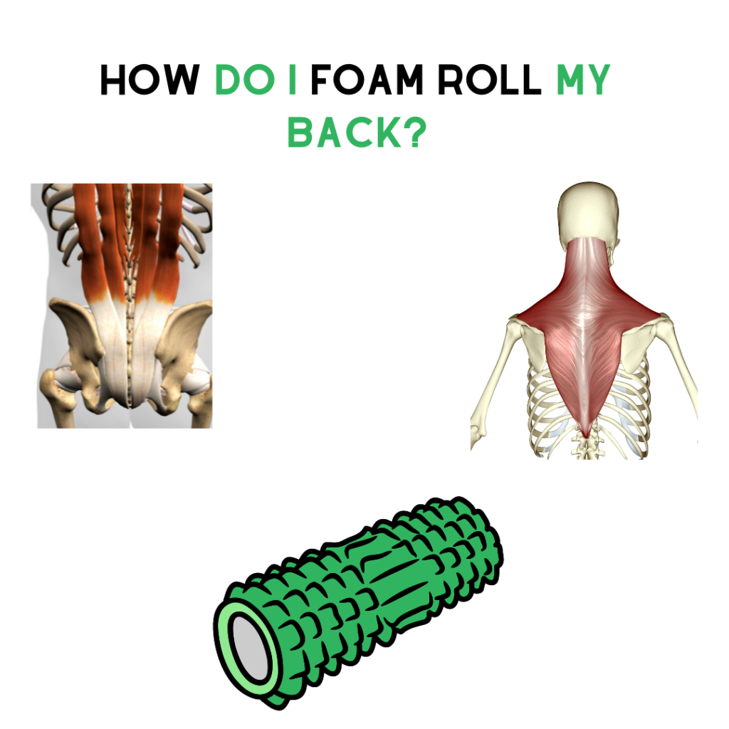 How do I foam roll my back? – Lincs Injury Clinic